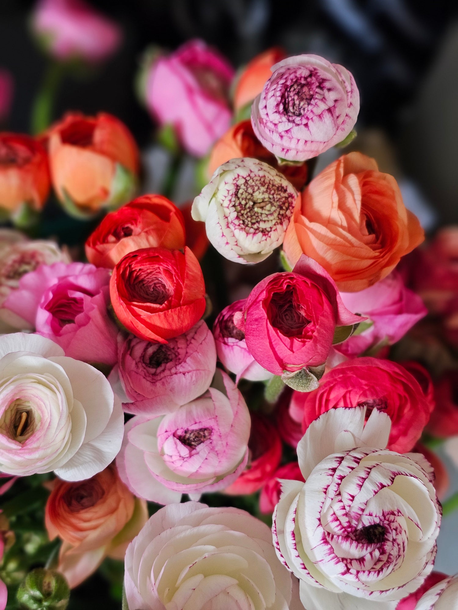 Lily's Flower Lane – Lily's Flower Lane